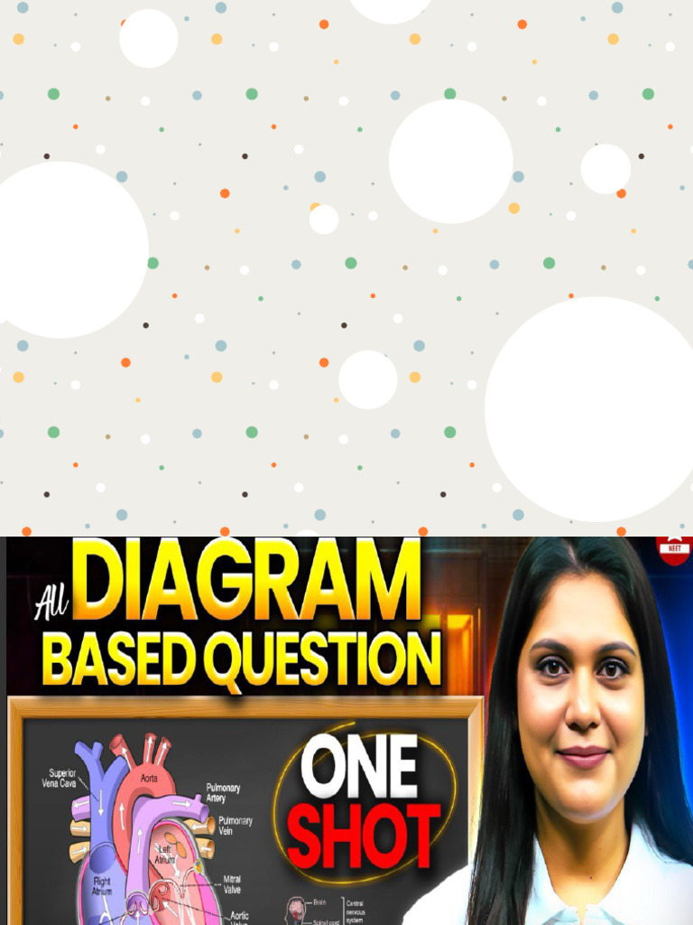 Diagram Based Questions by Garima Mam | PDF | Mitosis | Kidney