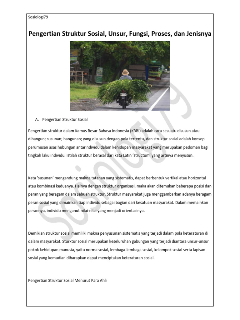 Pengertian dan Unsur Struktur Sosial | PDF