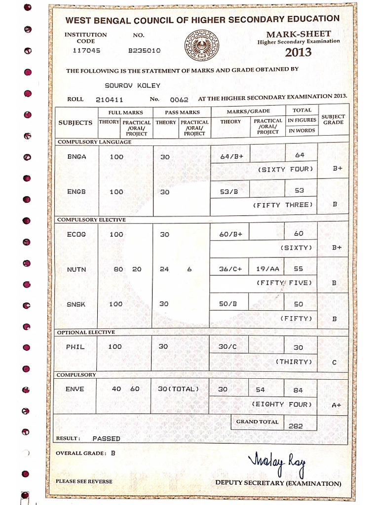 Sourav Koley Marksheet | PDF