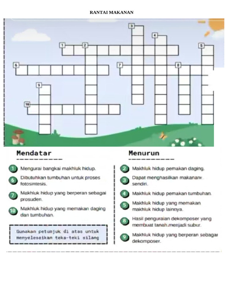 Teka-Teki Silang Tentang Penglihatan | PDF