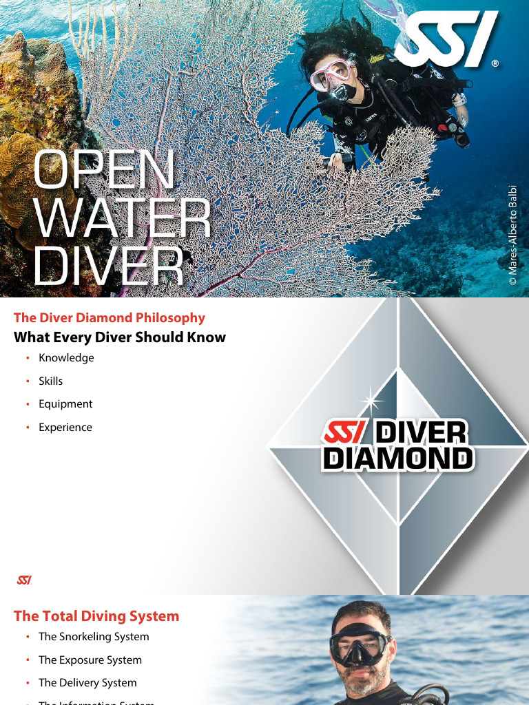 Essential Guide to SCUBA Diving Skills | PDF | Scuba Diving ...