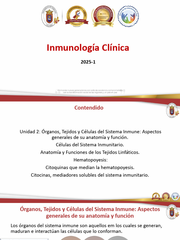 Unidad 2 Órganos, Tejidos y Células Del Sistema Inmune 2025-1 | PDF | Linfocitos | Hematopoyesis