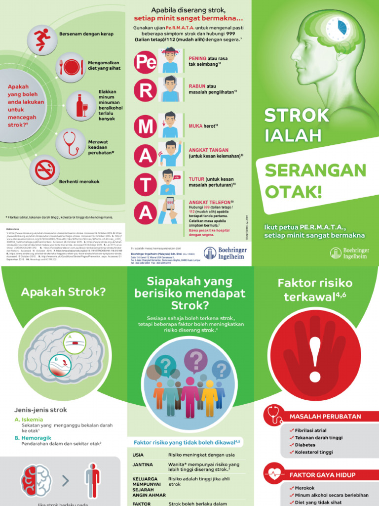 PeRMATA Stroke Patient Leaflet | PDF