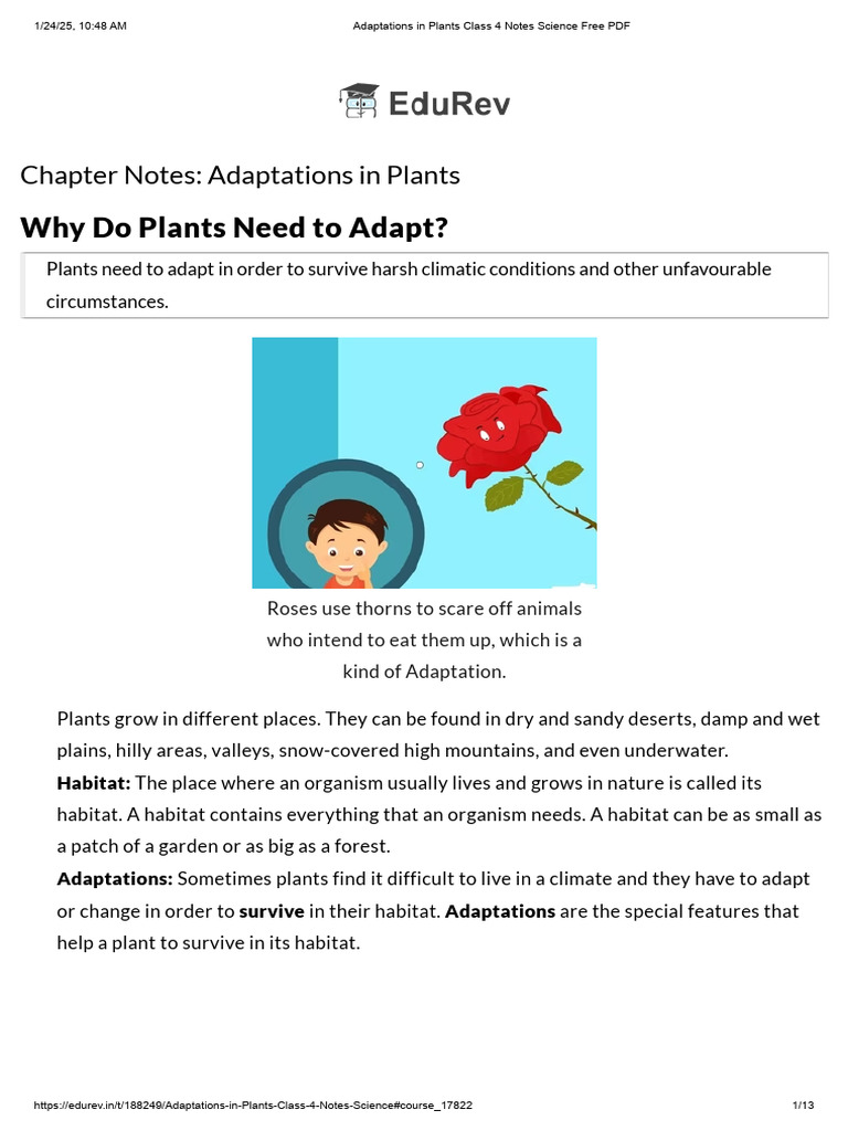 Plant Adaptations for Class 4 | PDF | Habitat | Leaf