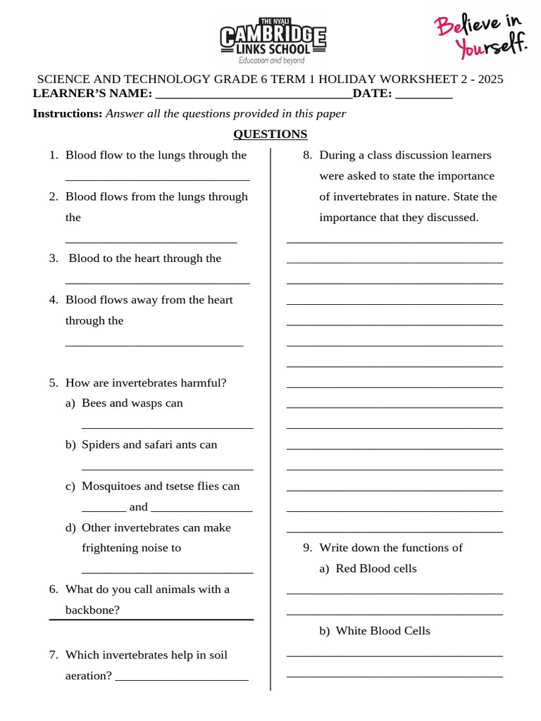 Grade 6 Science Worksheet4 | PDF | Invertebrate | Blood