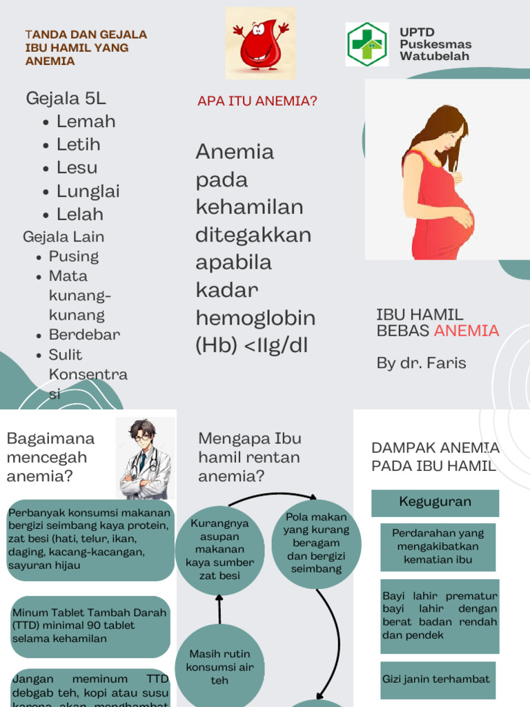 Dampak Anemia pada Ibu Hamil | PDF