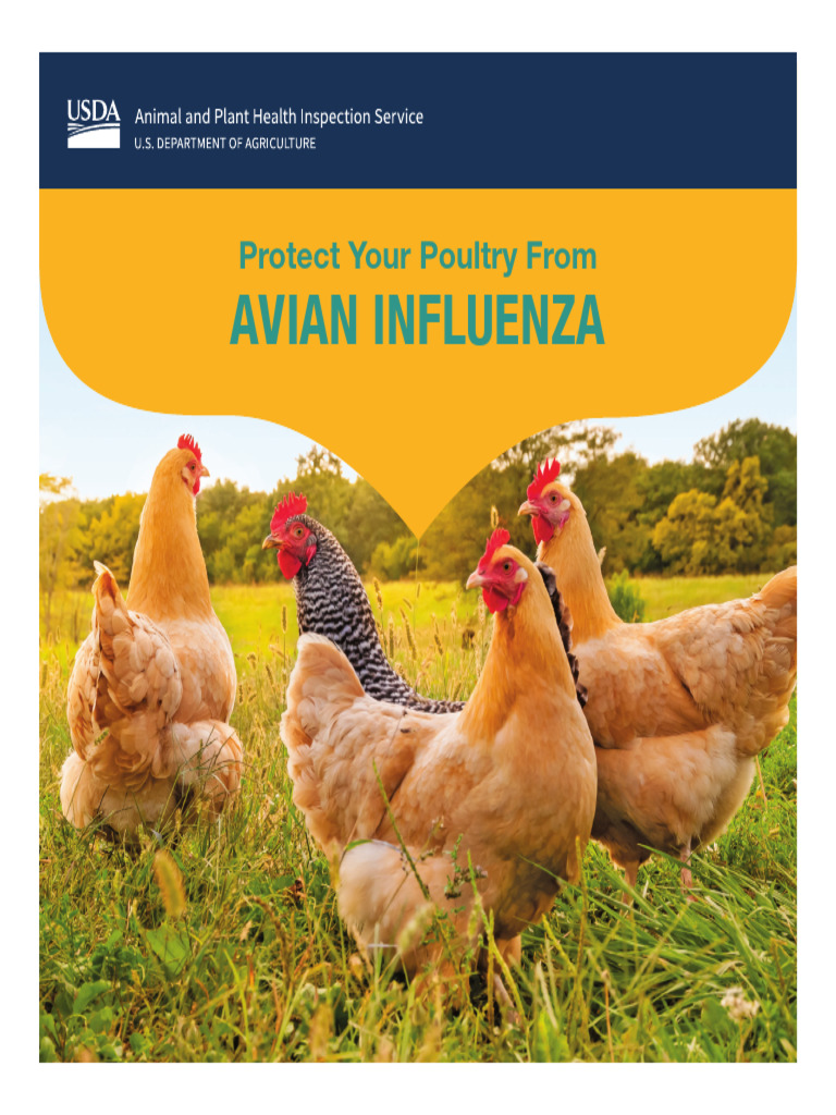 Bro Protect Poultry From Ai | PDF | Avian Influenza | Influenza