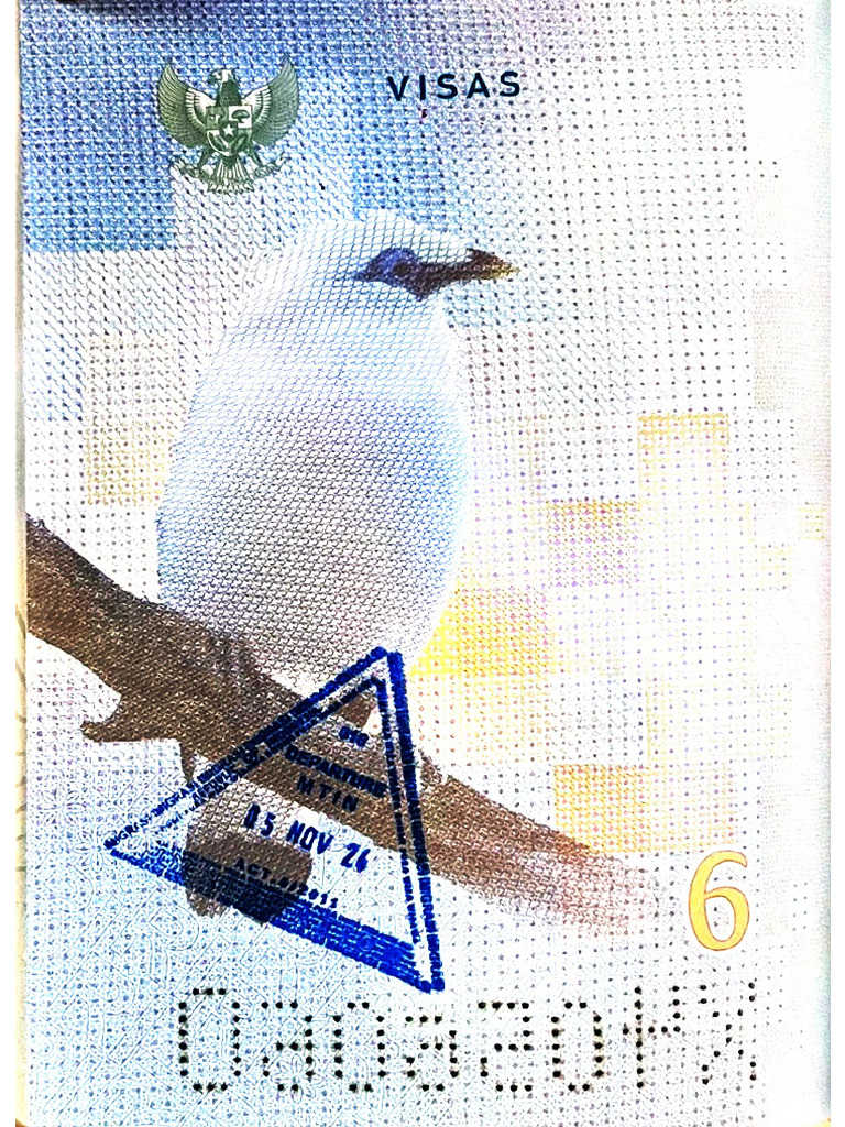 Scanned Passport Visas | PDF