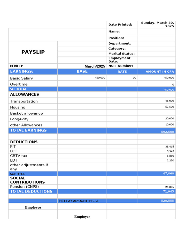 1 Sample Pay Slip | PDF