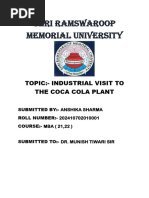 Coca Cola Flow Chart 1 | PDF | Industrial Processes | Secondary Sector ...