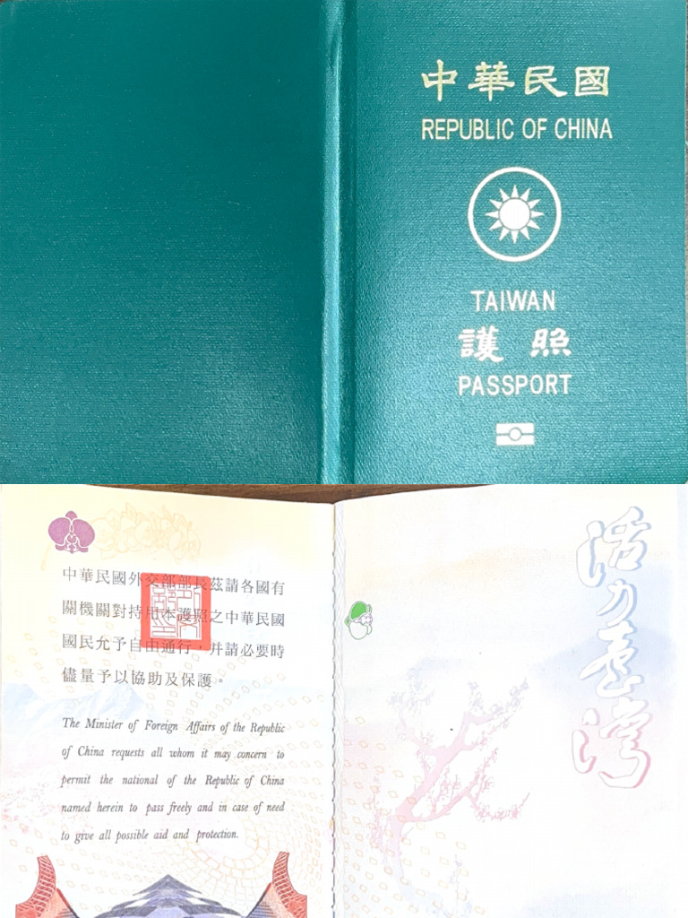 (L&P) Passport Steve | PDF