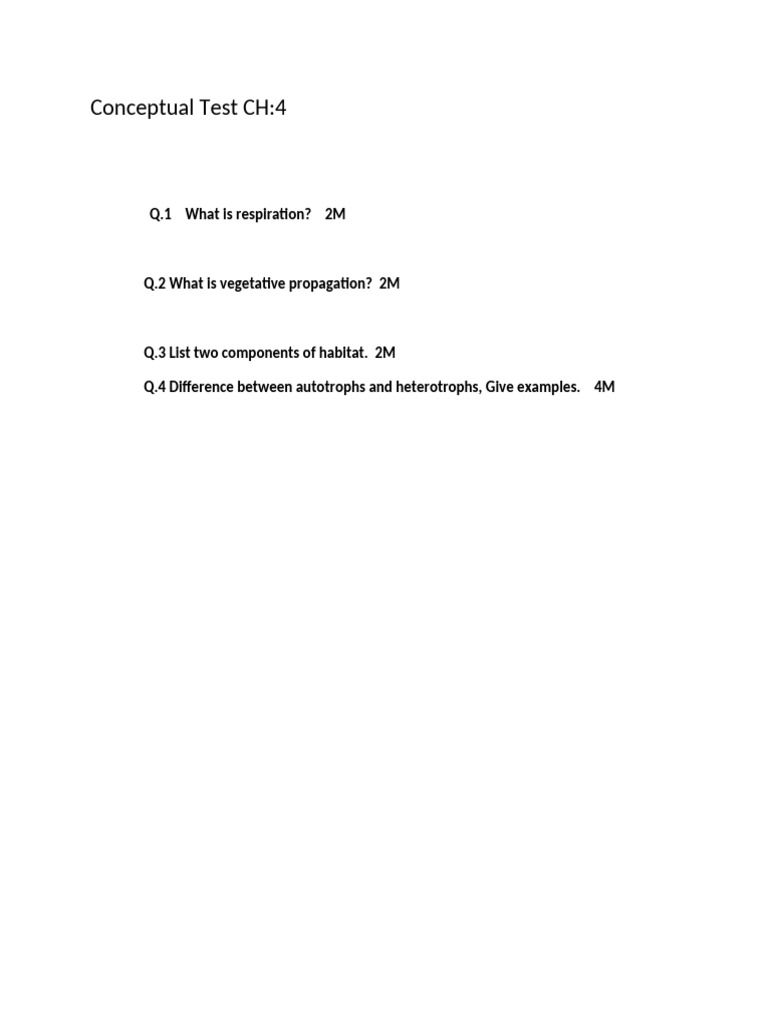 Conceptual Test CH | PDF