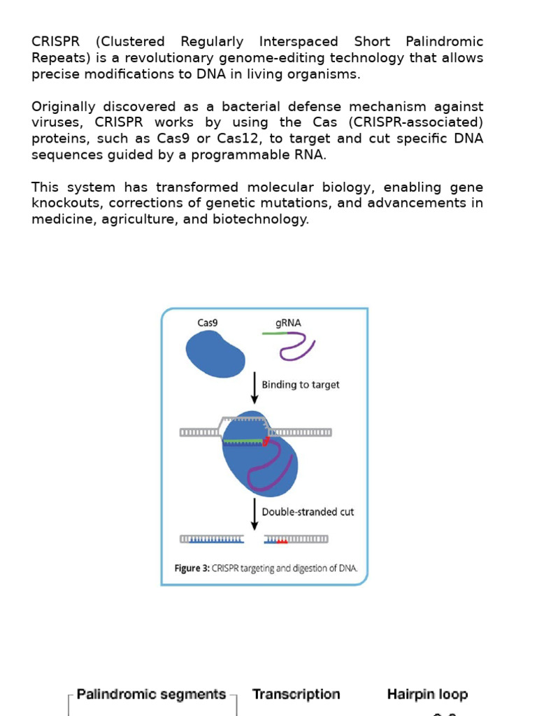 Module II, Lecture 6 | PDF