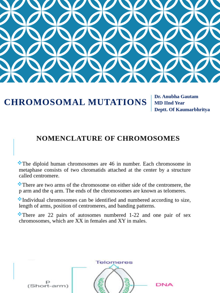 Understanding Chromosomal Mutations | PDF | Ploidy | Down Syndrome