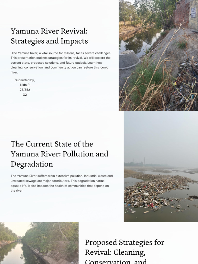 Yamuna River Revival Strategies | PDF | Water Pollution | Sustainability
