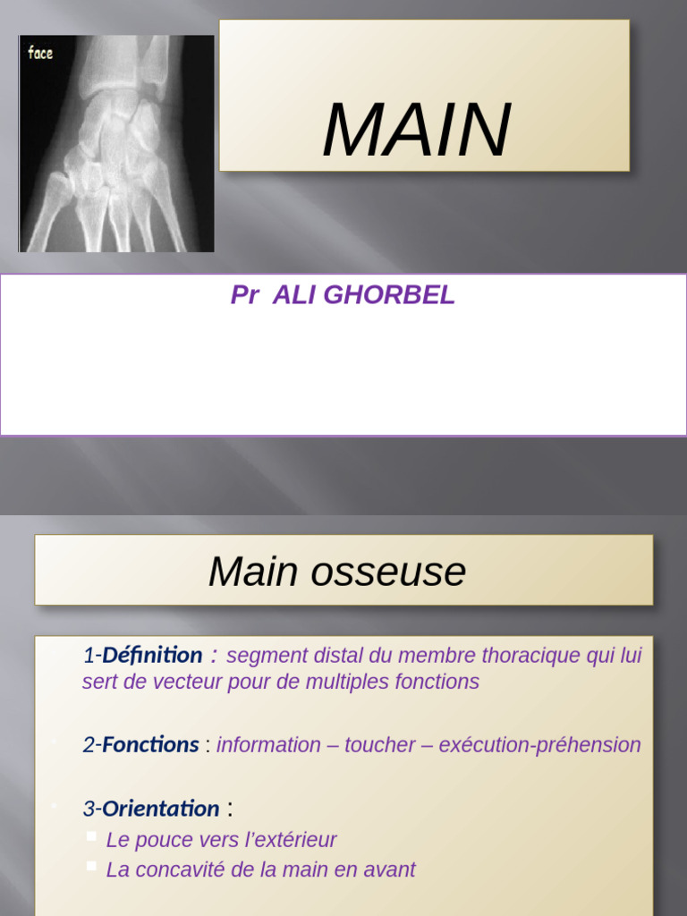 Anatomie et fonctions de la main | PDF | Main | Articulation (anatomie)