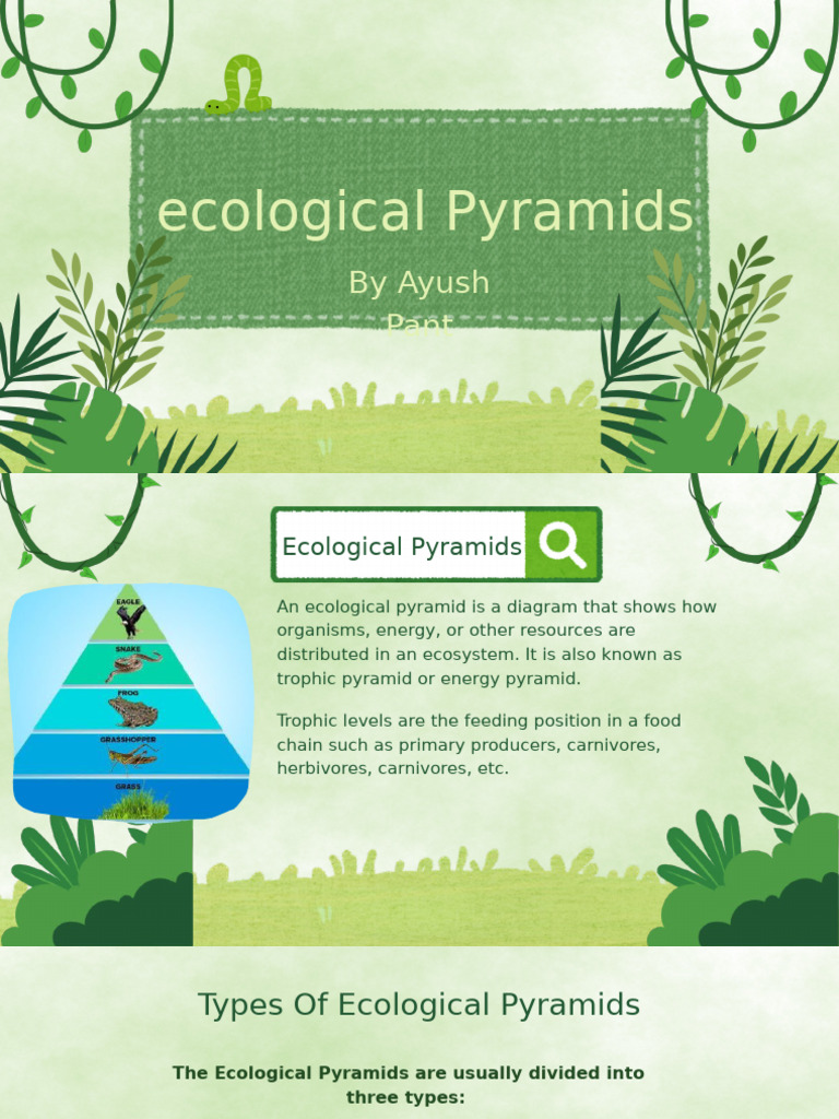 Ecological Pyramids | PDF | Food Web | Biomass (Ecology)