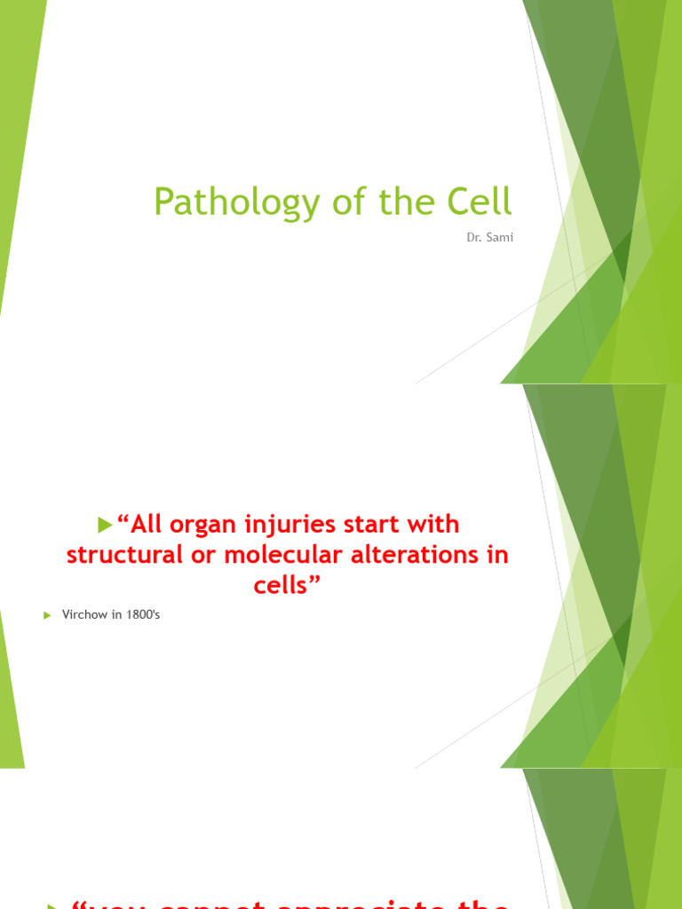 Understanding Cell Structure and Pathology | PDF | Necrosis | Apoptosis