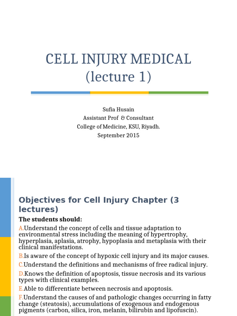 Understanding Cell Injury Mechanisms | PDF | Epithelium | Antioxidant
