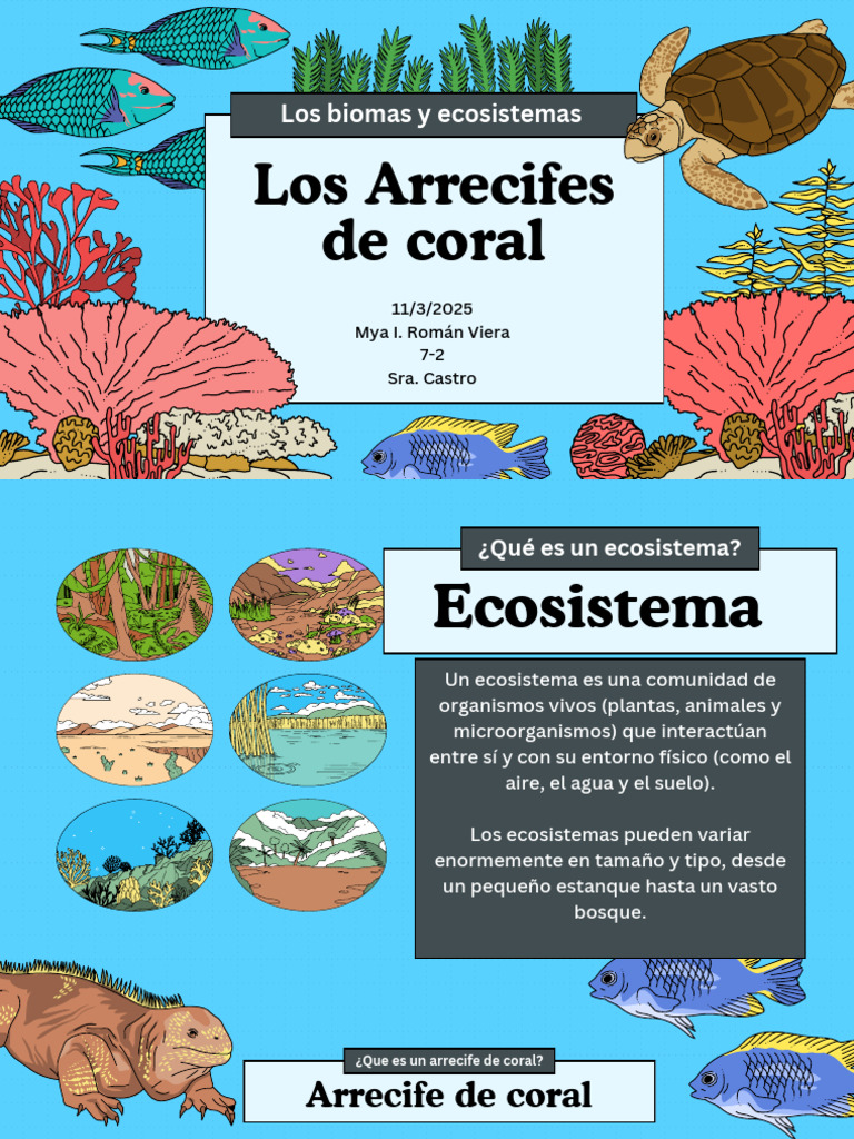 Marine Ecosystem NGSS Science Educational Presentation in Blue and ...