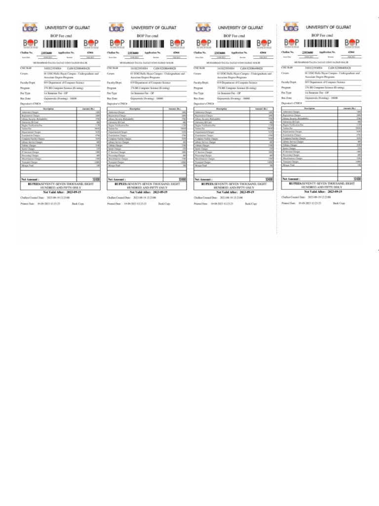 Challan | PDF
