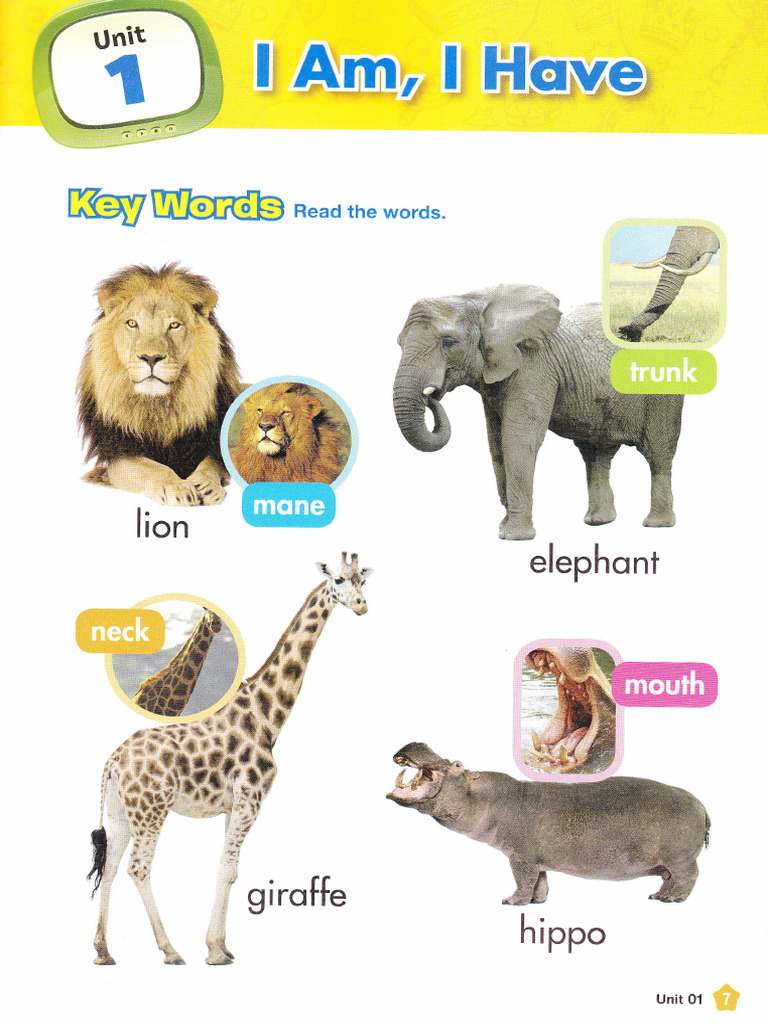 American Textbook Reading Pre-School 1 | PDF
