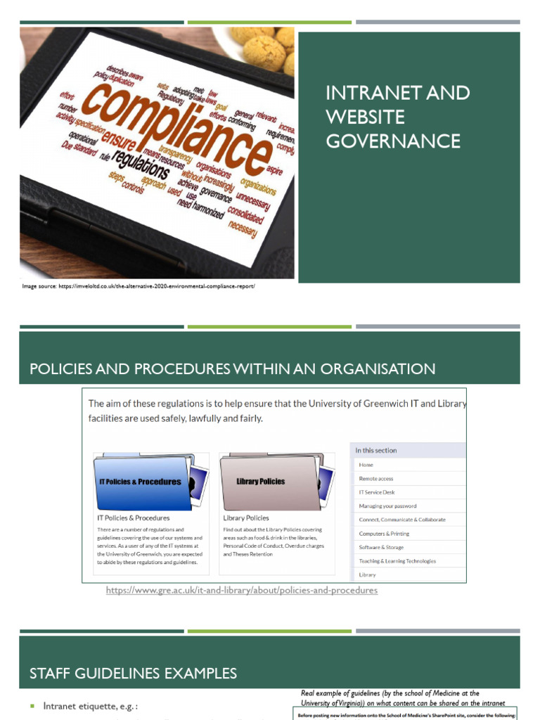 COMP1643-Lecture Week 9 Governance v2 | PDF | Governance