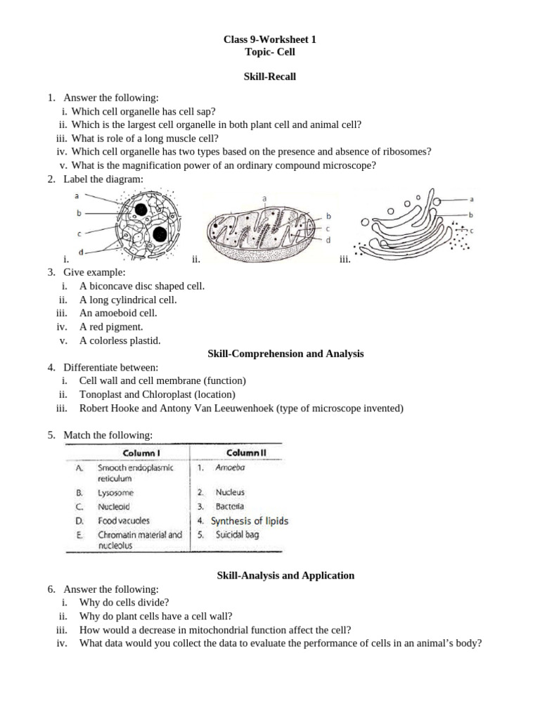Class 9 Worksheet 1 | PDF