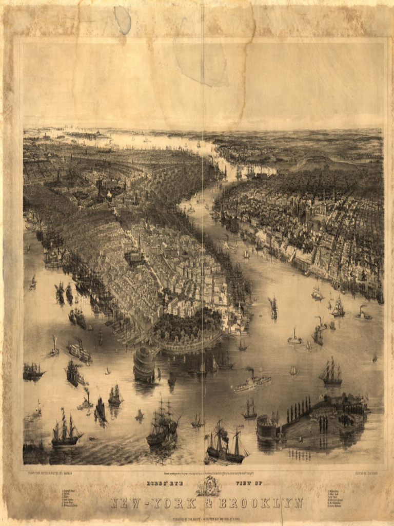 Bird's eye view of New-York & Brooklyn - drawn from nature & on stone ...