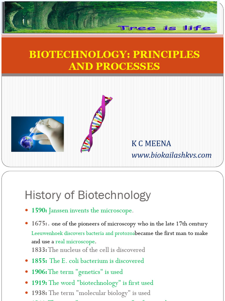 Biotechnology Principles Overview | PDF | Restriction Enzyme | Plasmid