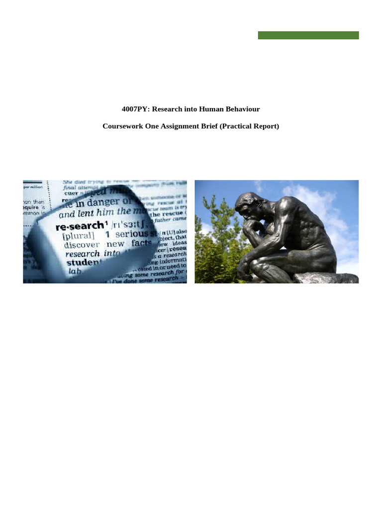 4007py Assignment Brief cw1 Summer 2022 | PDF | Theory | Hypothesis