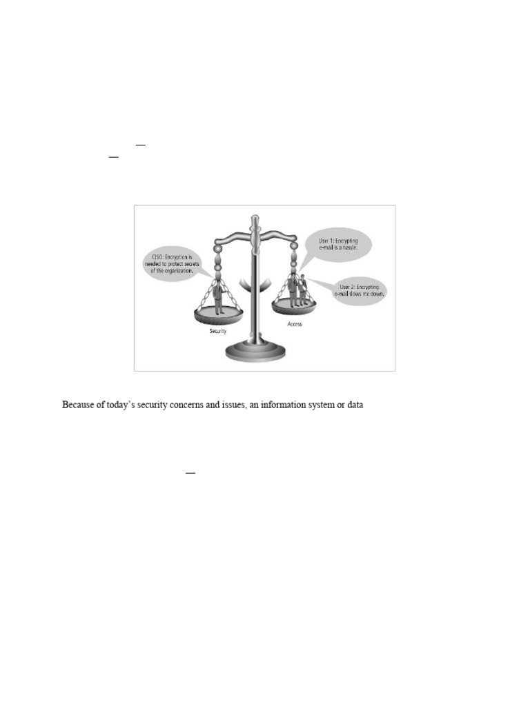 Balancing Information Security and Access | PDF | Information Security ...