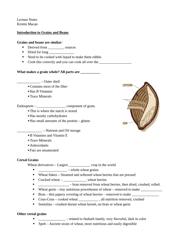 Grains and Beans Cooking Techniques Guide | PDF | Cereals | Wheat