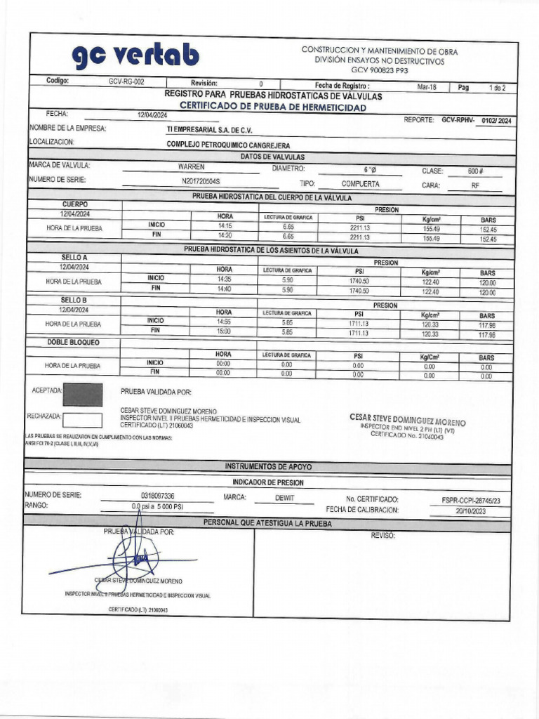 Ti Empresarial Reporte 0102 - 0001 | PDF