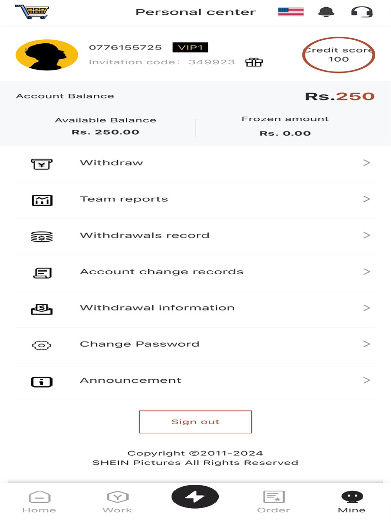 SHEIN Account Overview and Balance | PDF