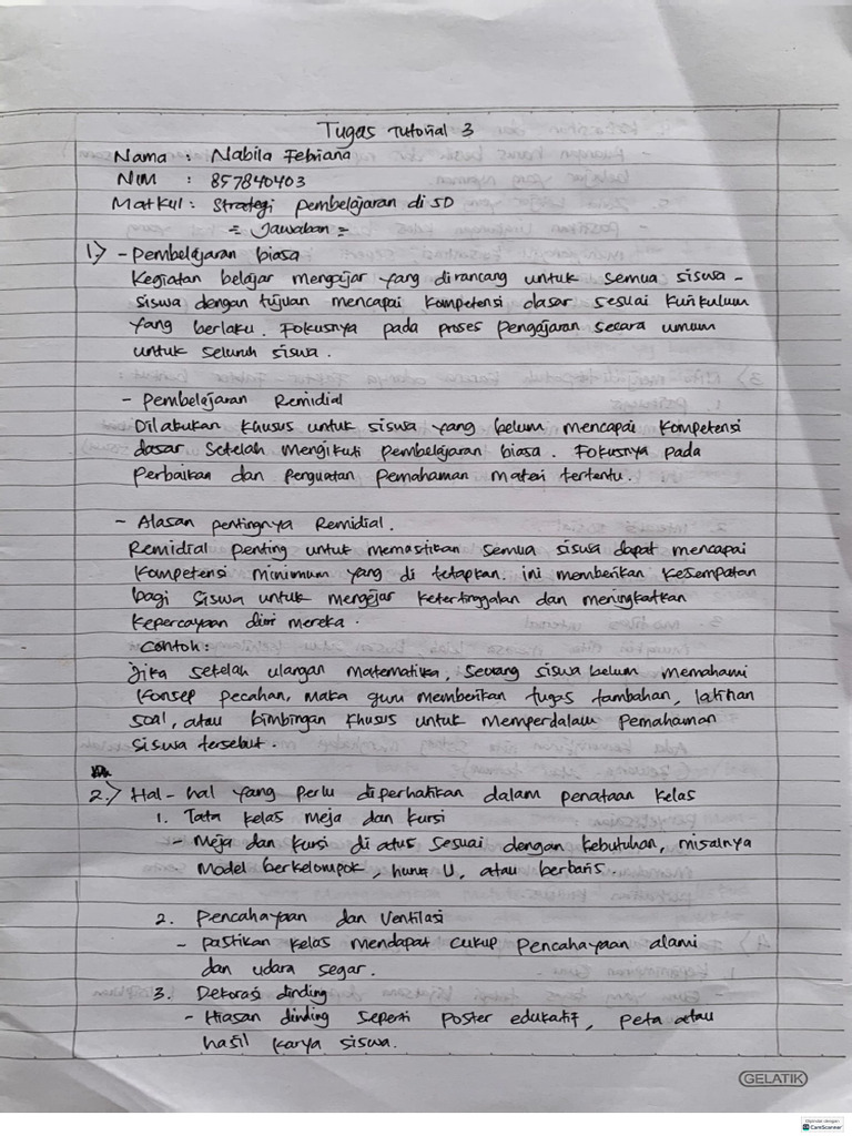 Tt3 - Strategi Pembelajaran DiSD - Nabila Fe | PDF