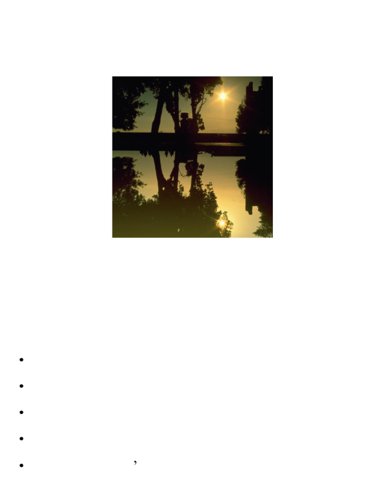 Geometric Optics: Light and Lenses | PDF | Mirror | Optics