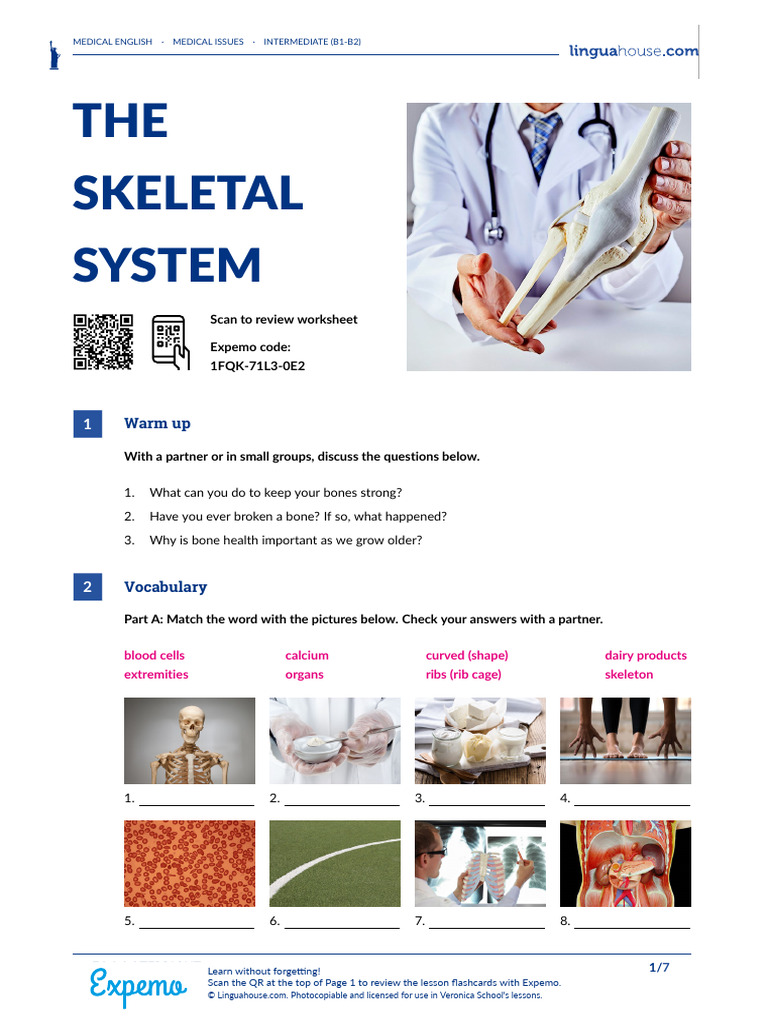 the-skeletal-system-american-english-teacher-B1-B2 | PDF | Space ...