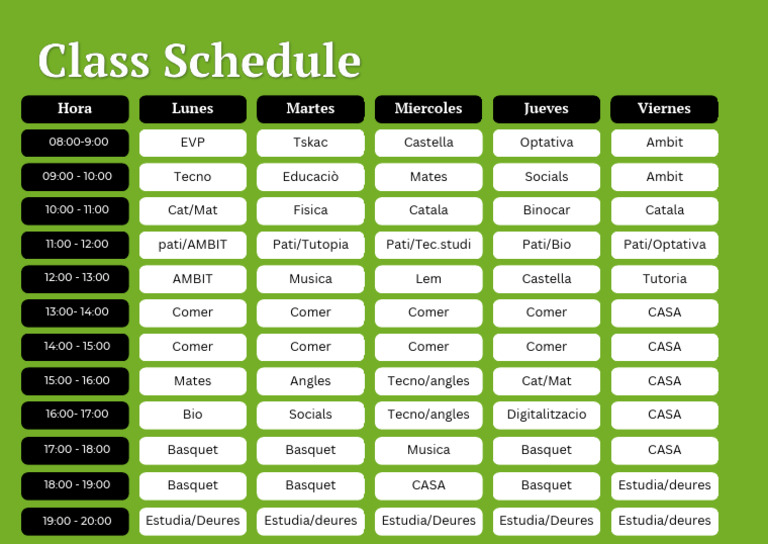 Blue and Pink Cute Playful Class Schedule | PDF