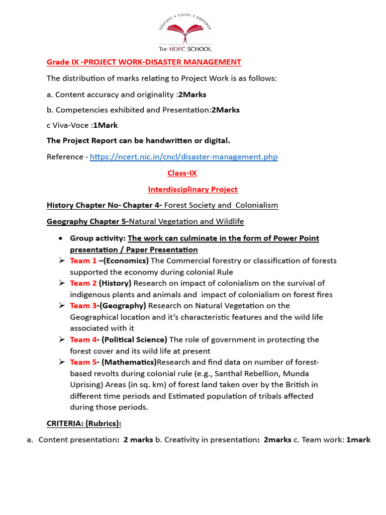 Grade IX PROJECT AND IDP | PDF