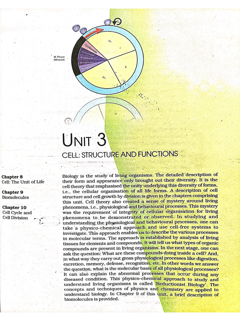 Class 11 Unit 03 | PDF