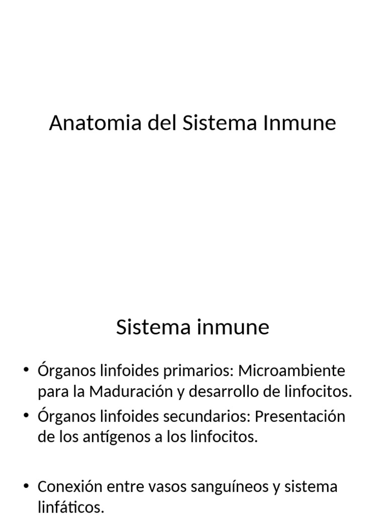 Anatomia Del Sistema Inmune | PDF | Linfocitos | Célula T