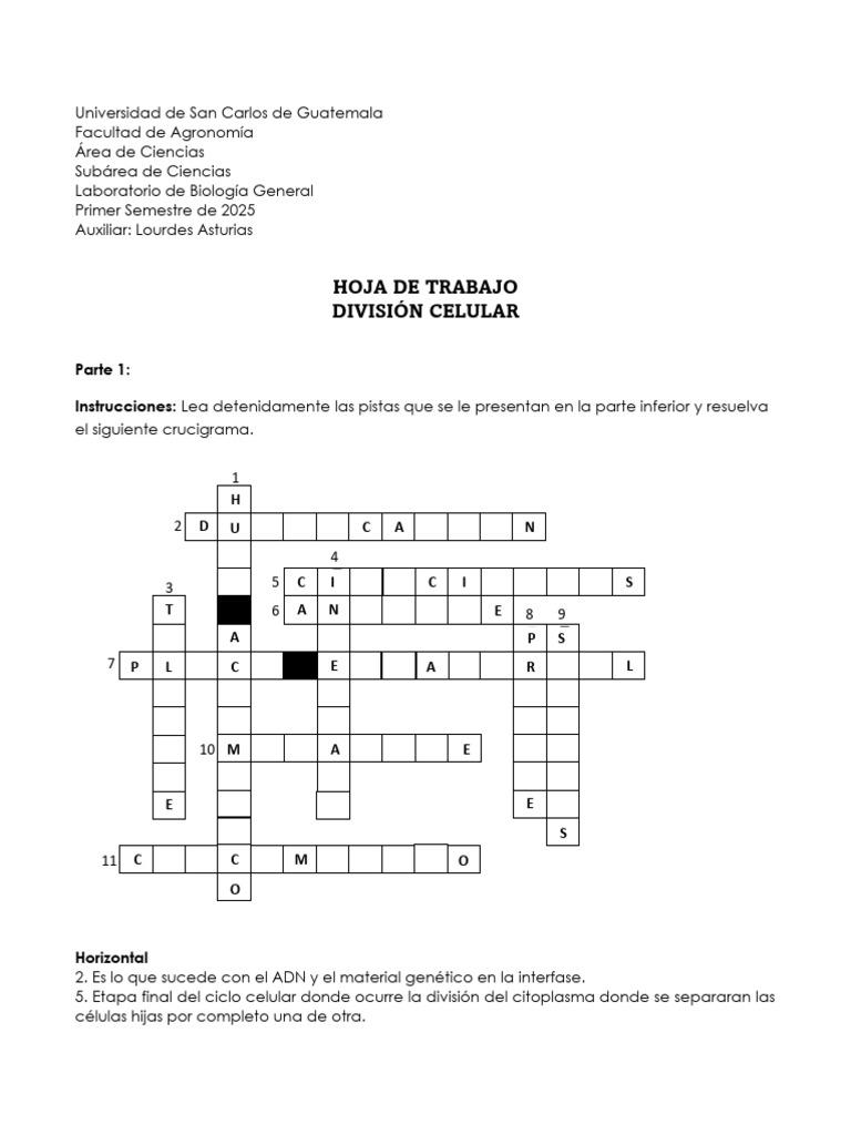 HOJA DE TRABAJO DIVISIÓN CELULAR PS2025 | PDF | Mitosis | Mitosis