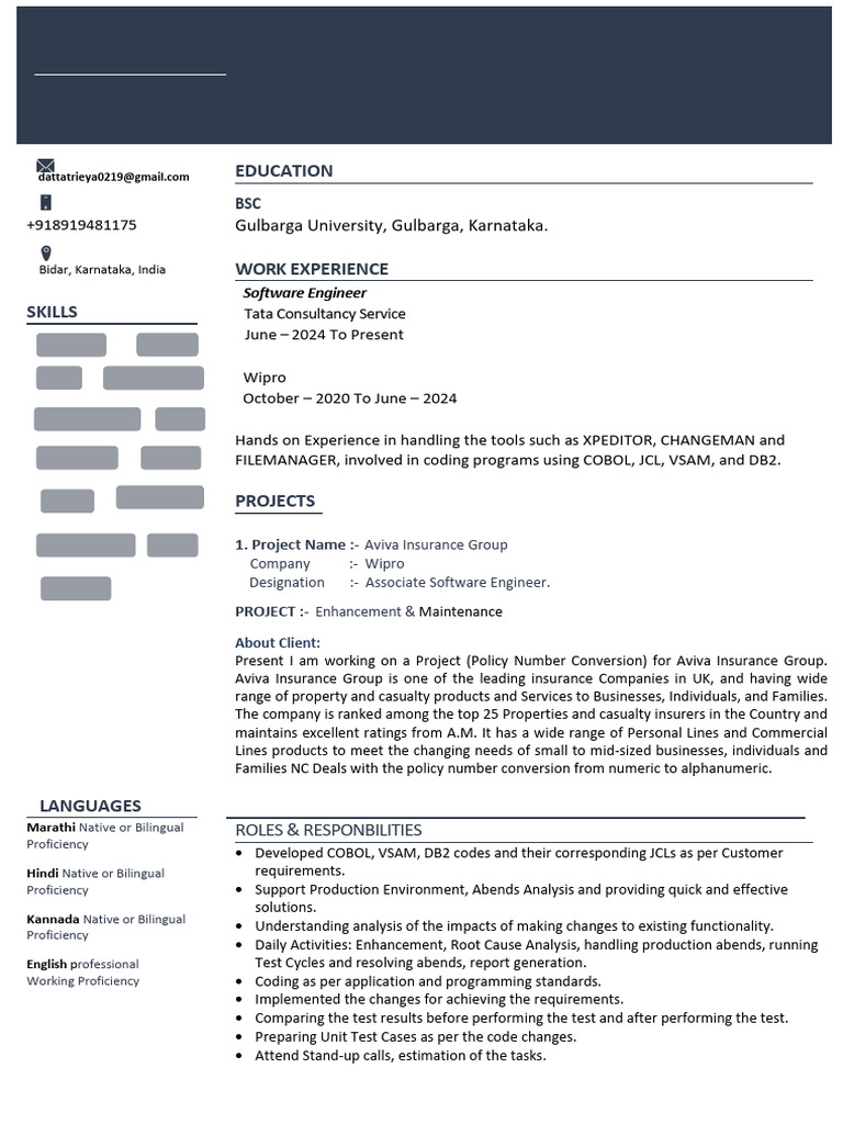 Mainframe Developer Resume Summary | PDF | Computer Programming ...