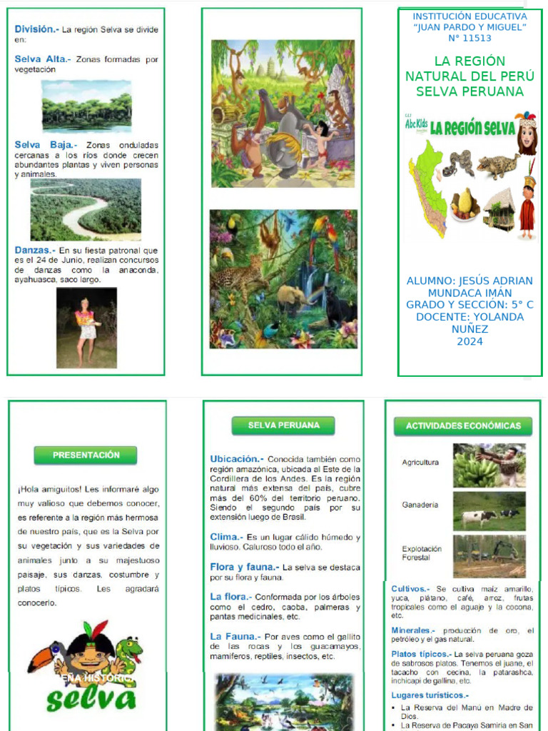 TRIPTICO DE LA SELVA PERUANA | PDF