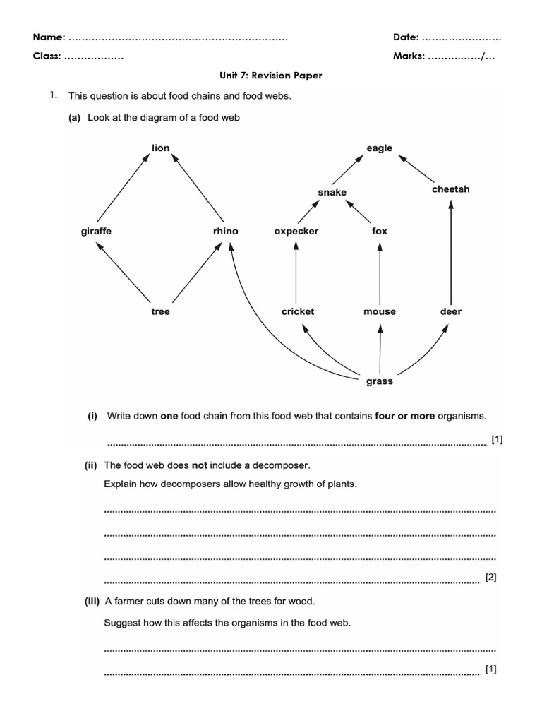 Grade 6 Unit 7 Revision Paper | PDF