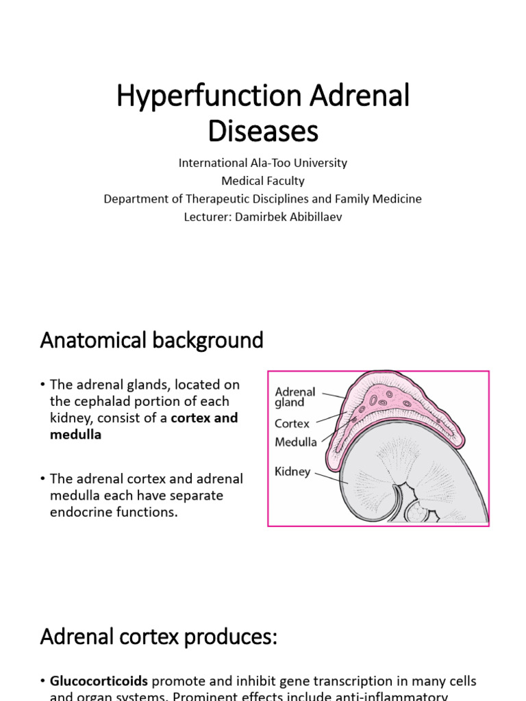Hyperfunction Adrenal Disease 2 | PDF | Adrenal Gland | Cortisol