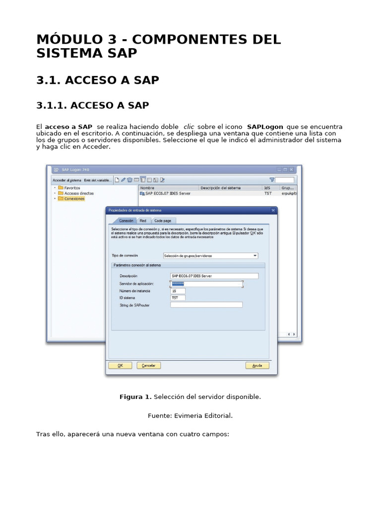 Modulo 3 Componentes Del Sistema Sap | PDF | Botón (Computación ...