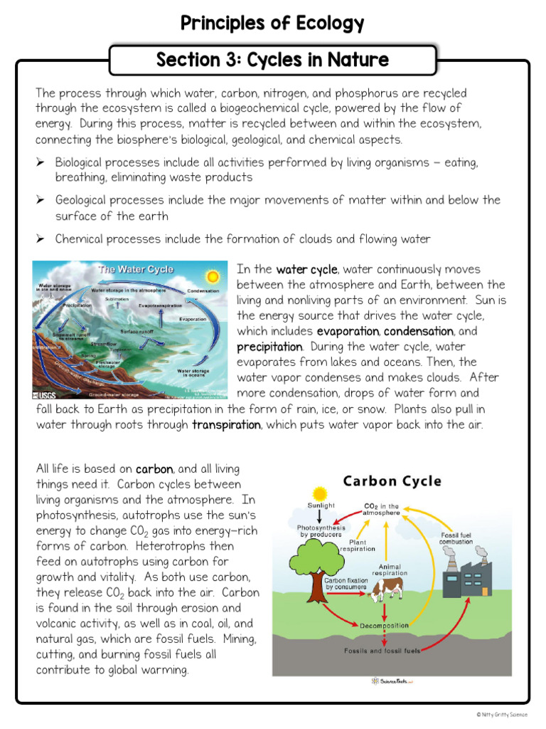 Section 3 Cycles in Nature 1 | PDF | Water Cycle | Soil