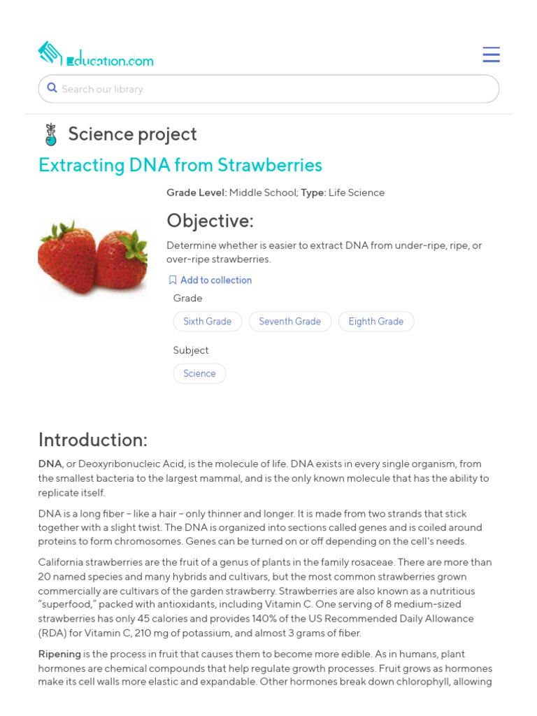 Extracting DNA From Strawberries - Science Project | PDF | Teaspoon ...